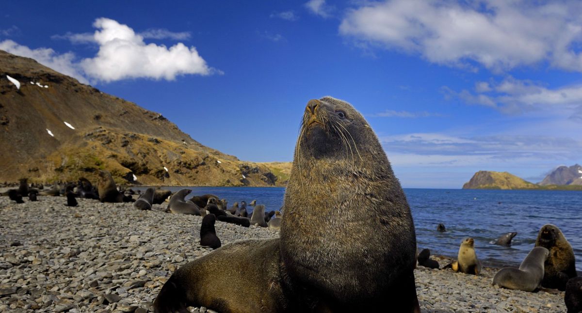 Joe Hoffman | The Hoffman Lab